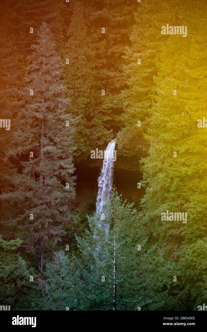 North Falls and fall color. Silver Falls State Park, Oregon Stock Photo ...