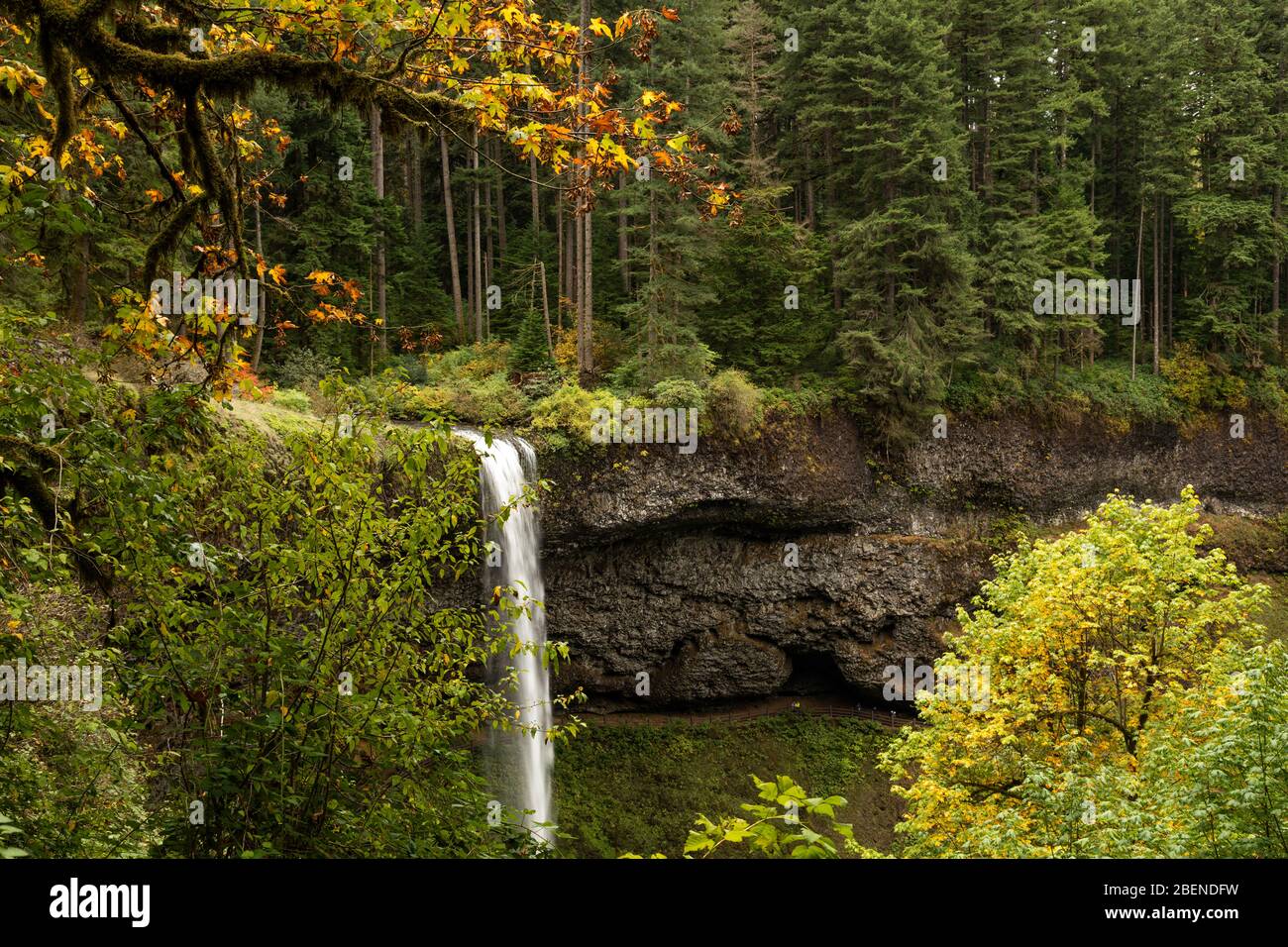 North Falls and fall color. Silver Falls State Park, Oregon Stock Photo ...