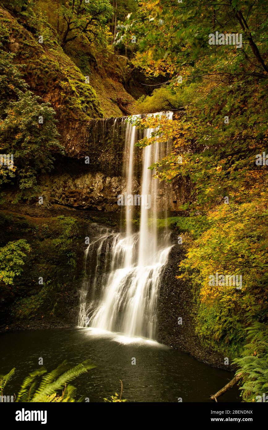 Double Falls and fall color. Silver Falls State Park, Oregon Stock ...