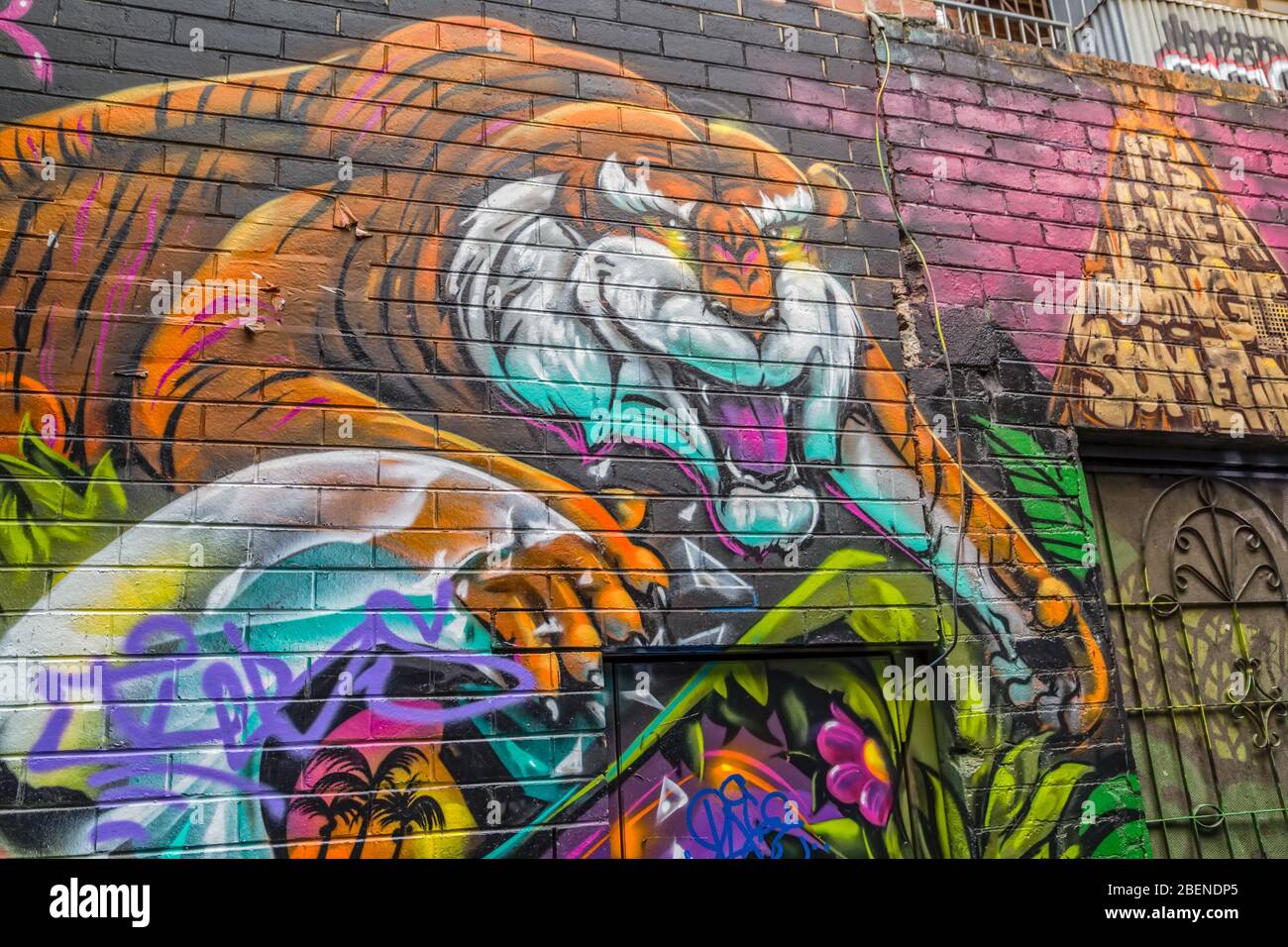 Melbourne graffiti tiger Stock Photo - Alamy