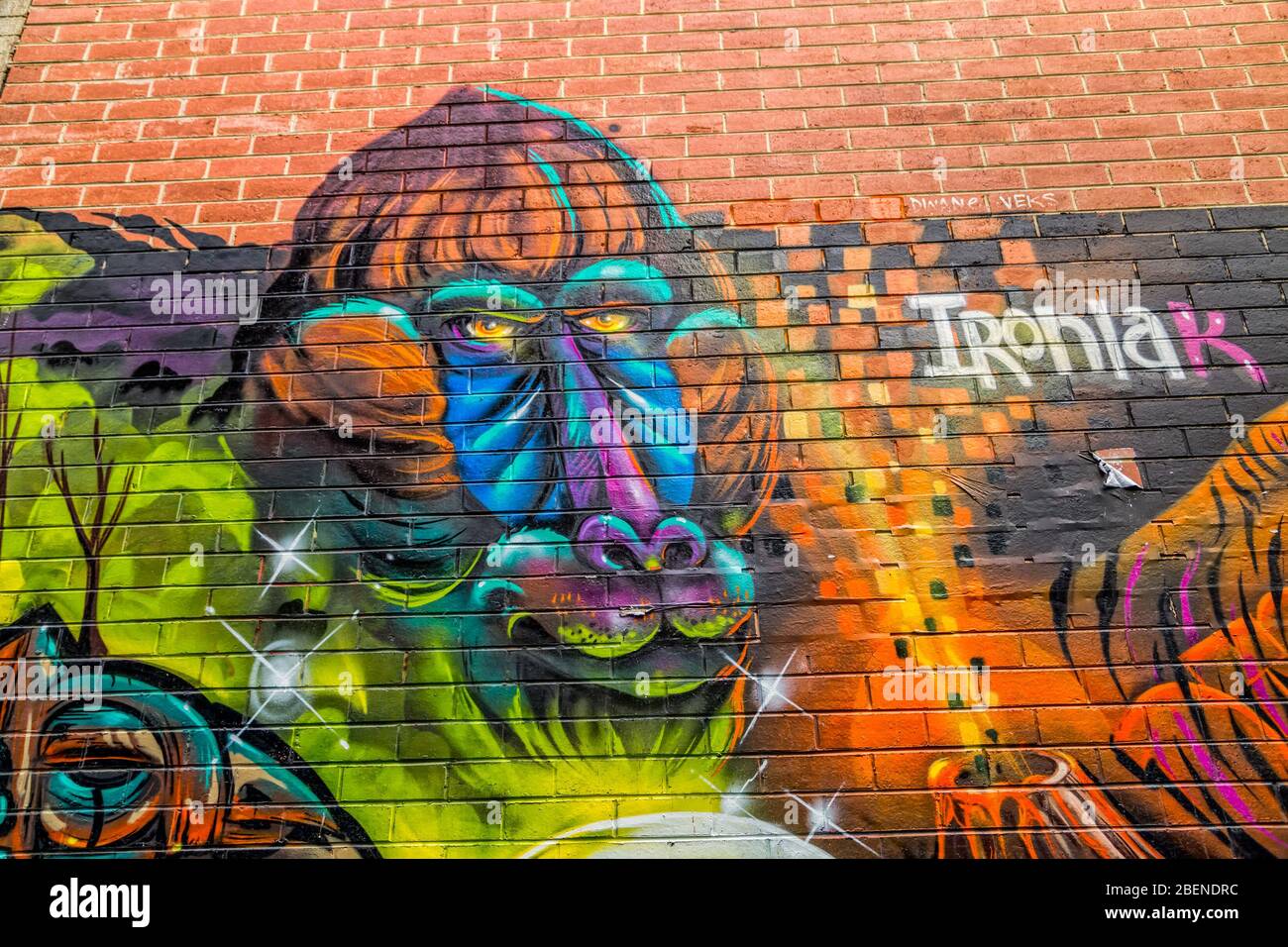 Monkey Graffiti High Resolution Stock Photography and Images - Alamy