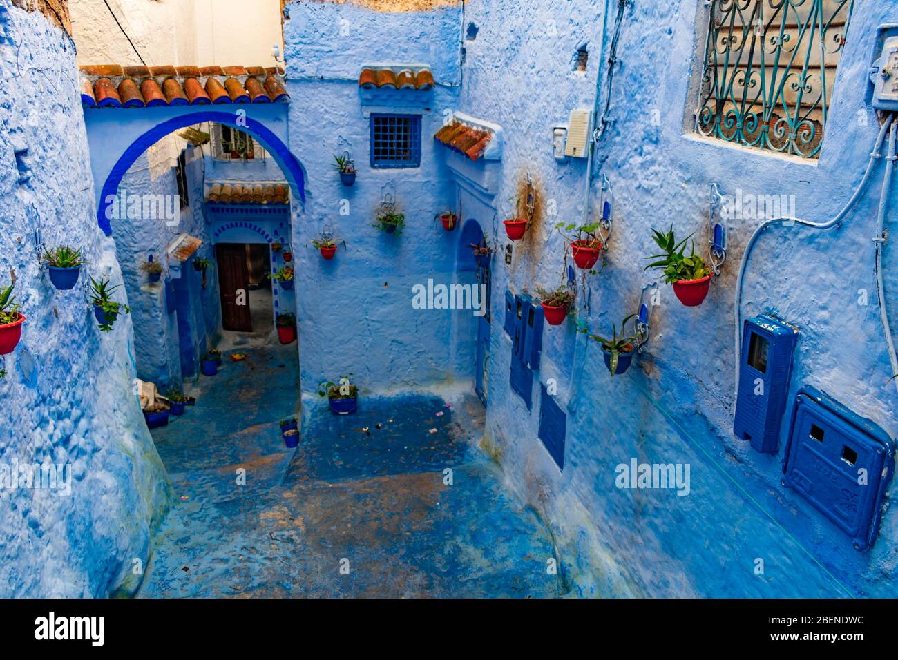 Blue Chefchaouen Morocco architecture with potted plants Stock Photo ...