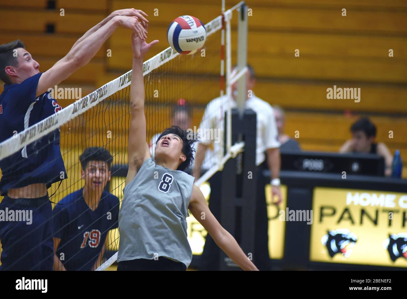 Block shot hi-res stock photography and images - Alamy