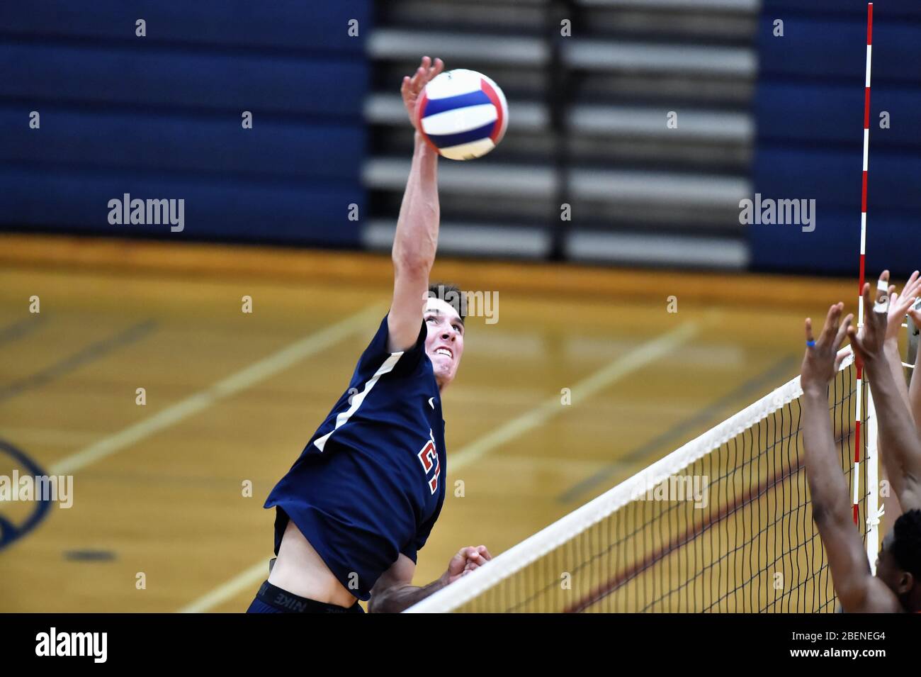 Successful shot hi-res stock photography and images - Alamy