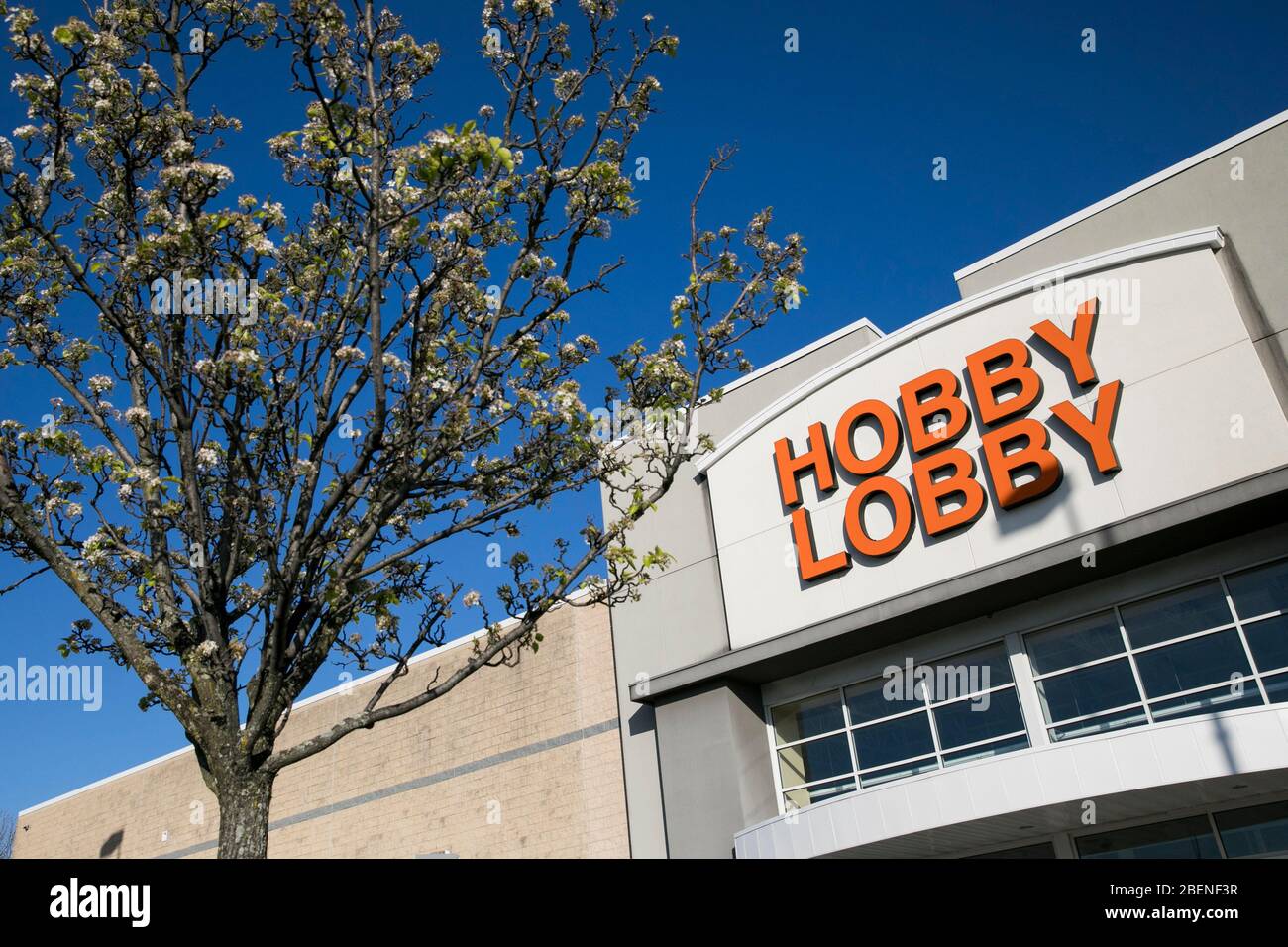 Hobby Lobby Logo