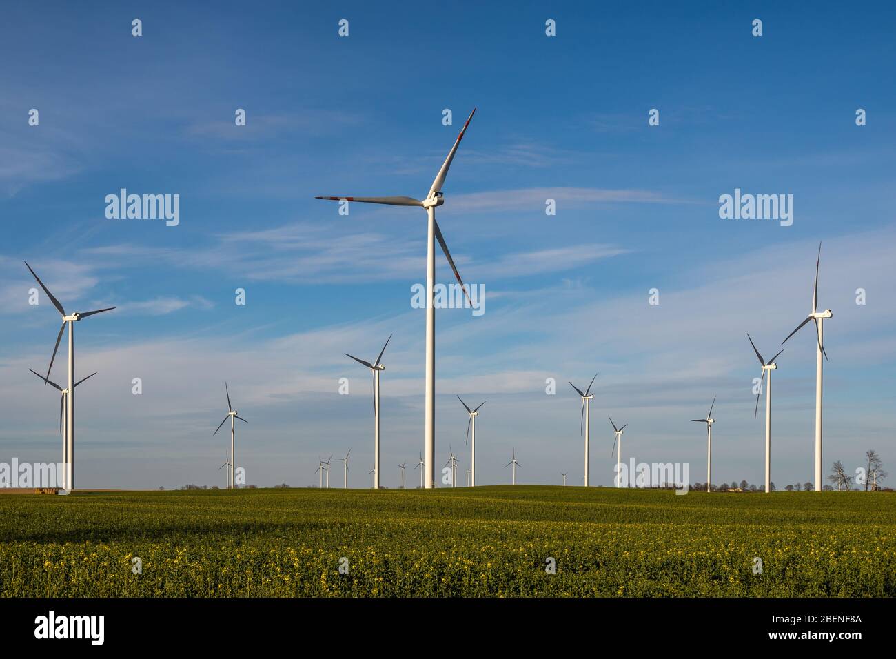 wind turbines on a spring field Stock Photo - Alamy