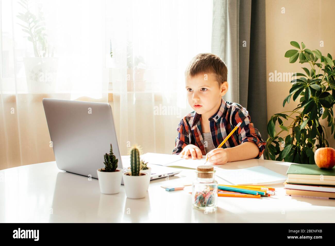 Boy studying at home with notebook and doing school homework. Distance ...