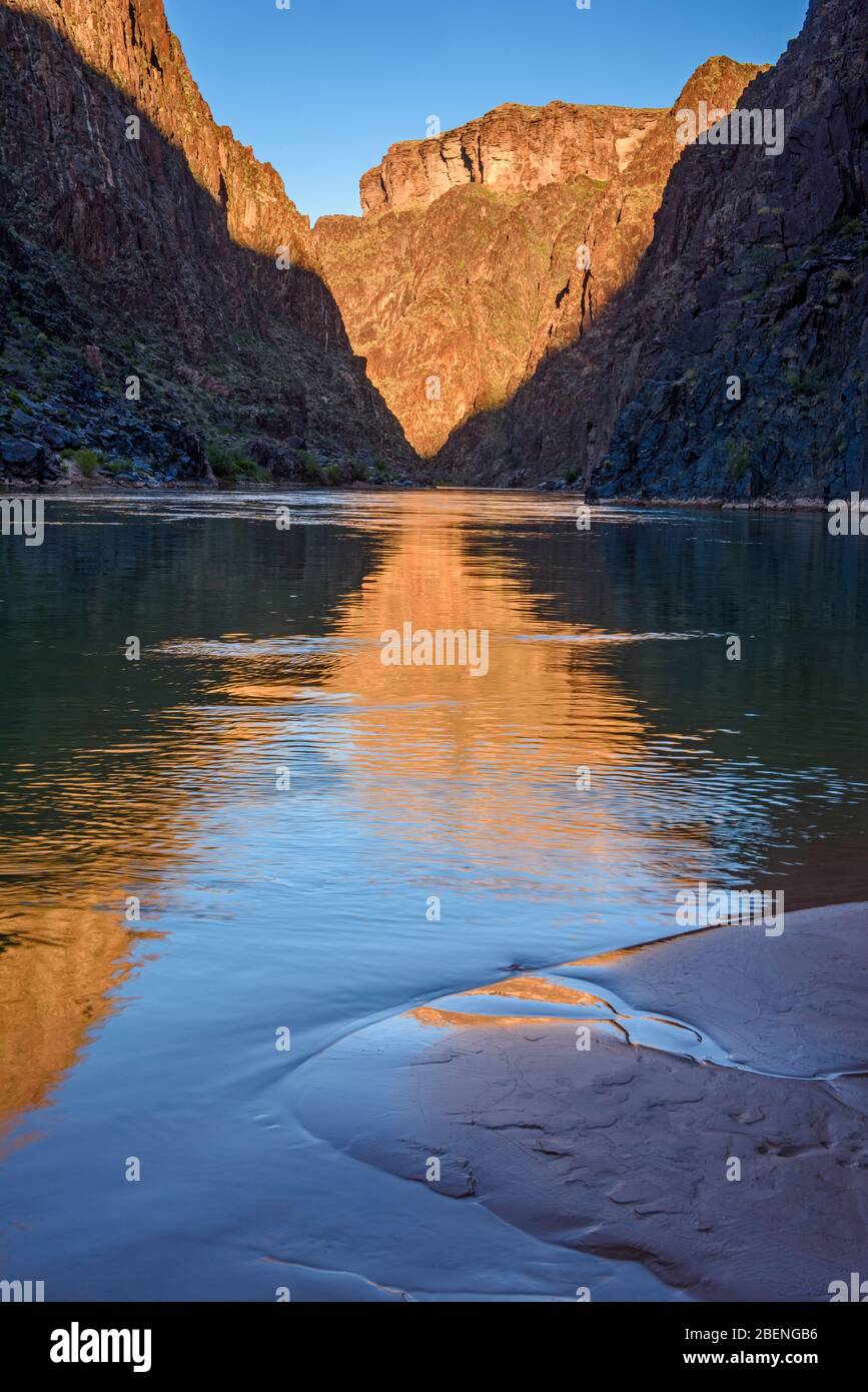The Grand Canyon reflected in the Colorado River at False Trinity Camp ...