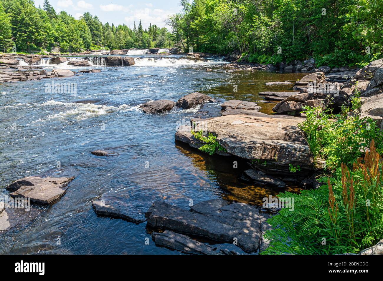 Cedars mill trail hi-res stock photography and images - Alamy