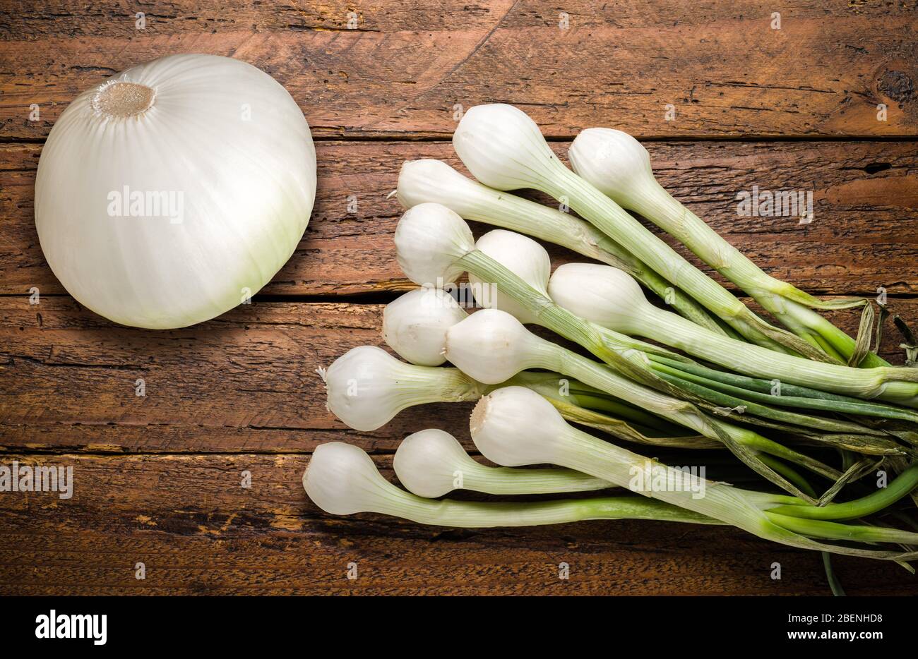 Onion stalk hi-res stock photography and images - Alamy