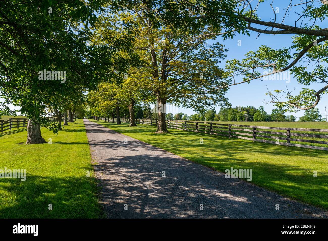 Farm House entrance with road leading to house Stock Photo - Alamy