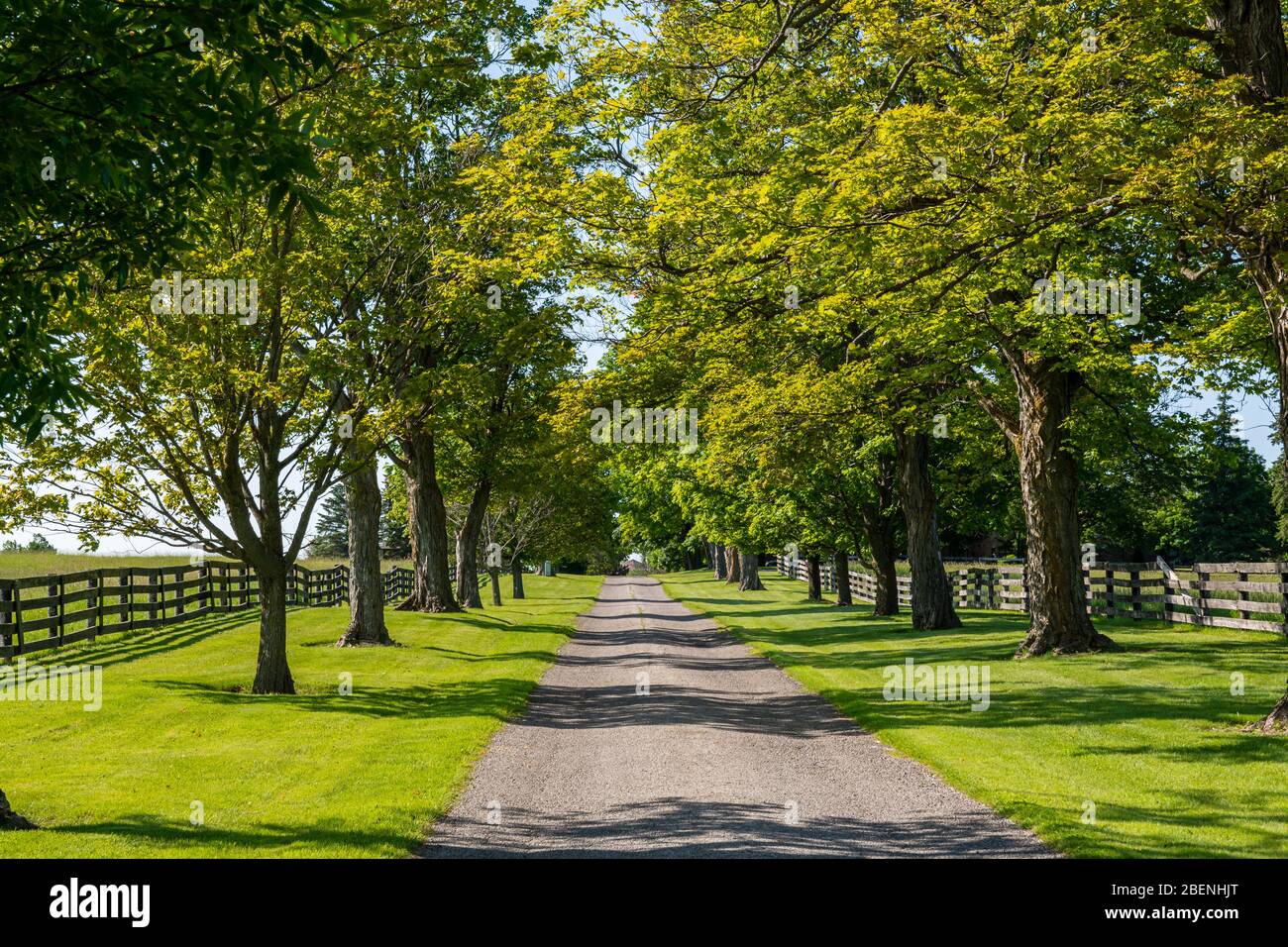 Farm House entrance with road leading to house Stock Photo - Alamy