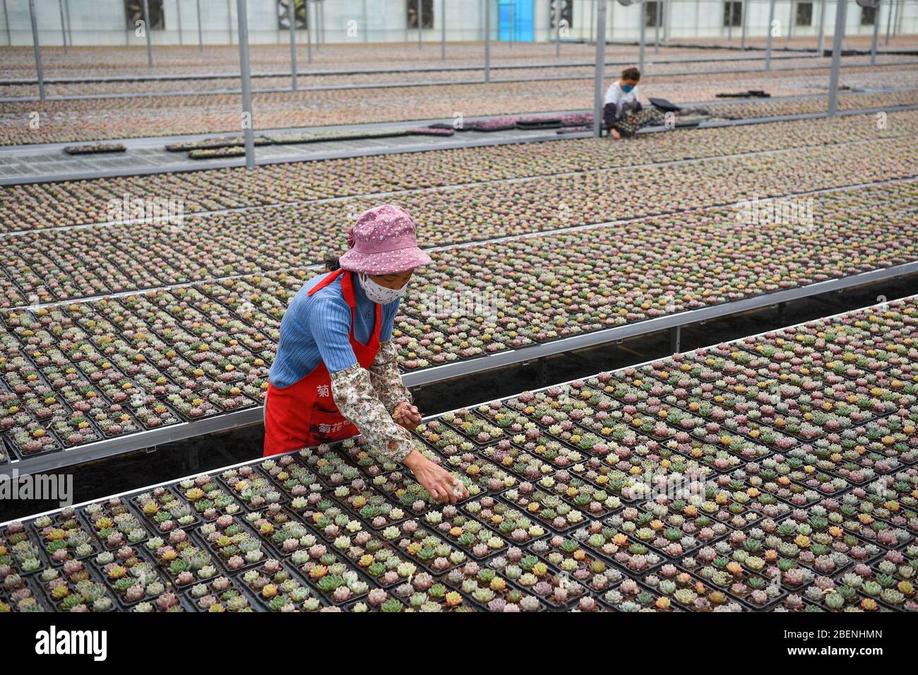 Gaoyou High Resolution Stock Photography and Images - Alamy