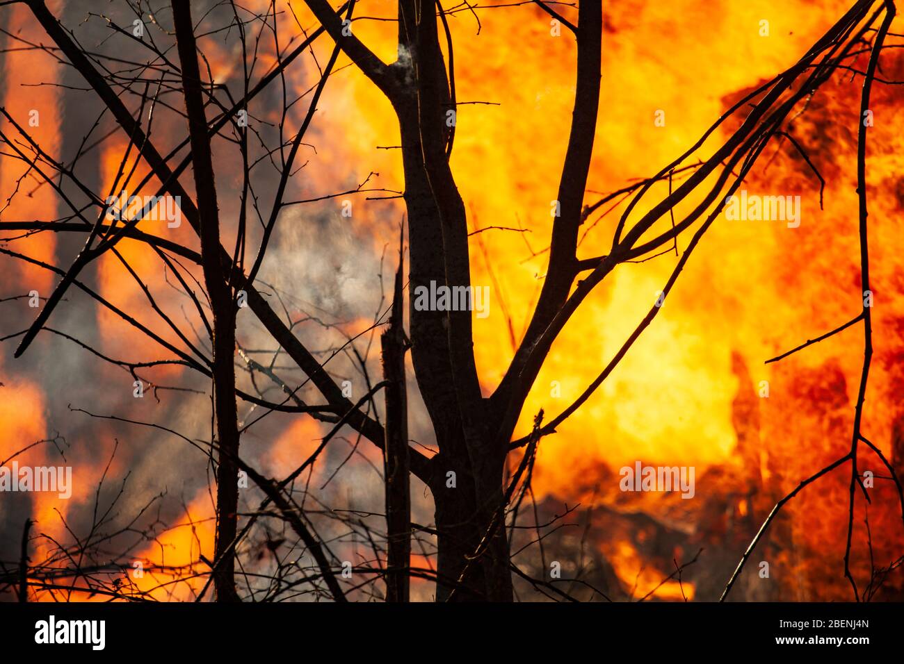 Firefighters trying to save burning house Stock Photo - Alamy