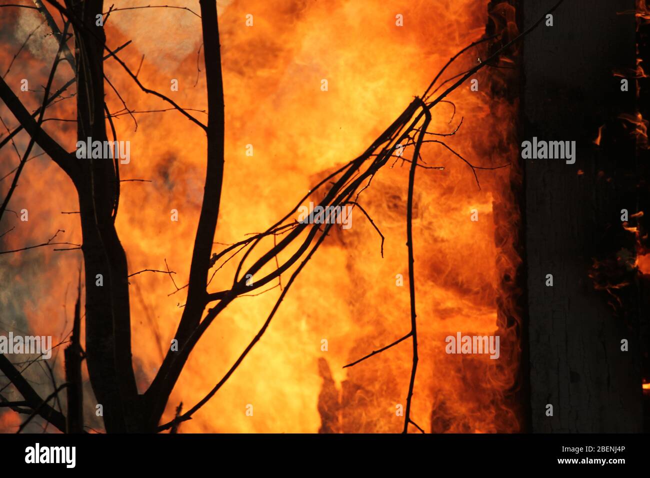 Firefighters trying to save burning house Stock Photo - Alamy