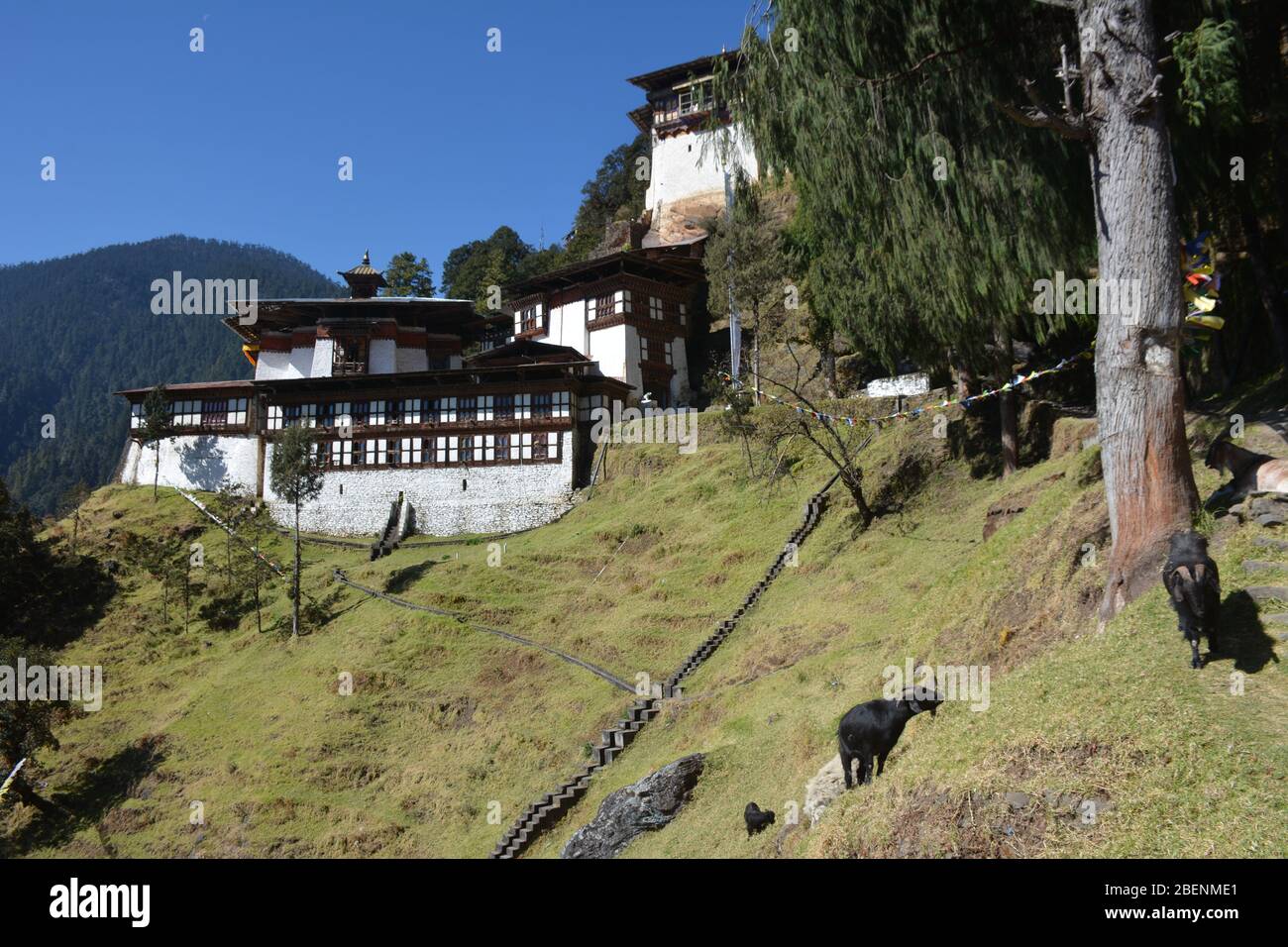 The Cheri Monastery (Chagri Dorjeden) meditation centre near Thimphu ...