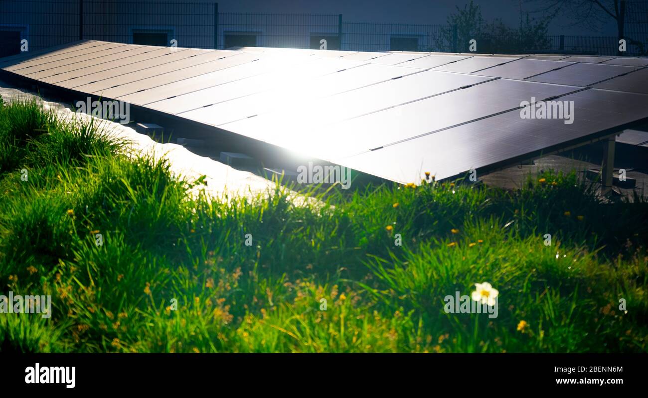 Solar energy on grassland with light beam from the front to the back ...