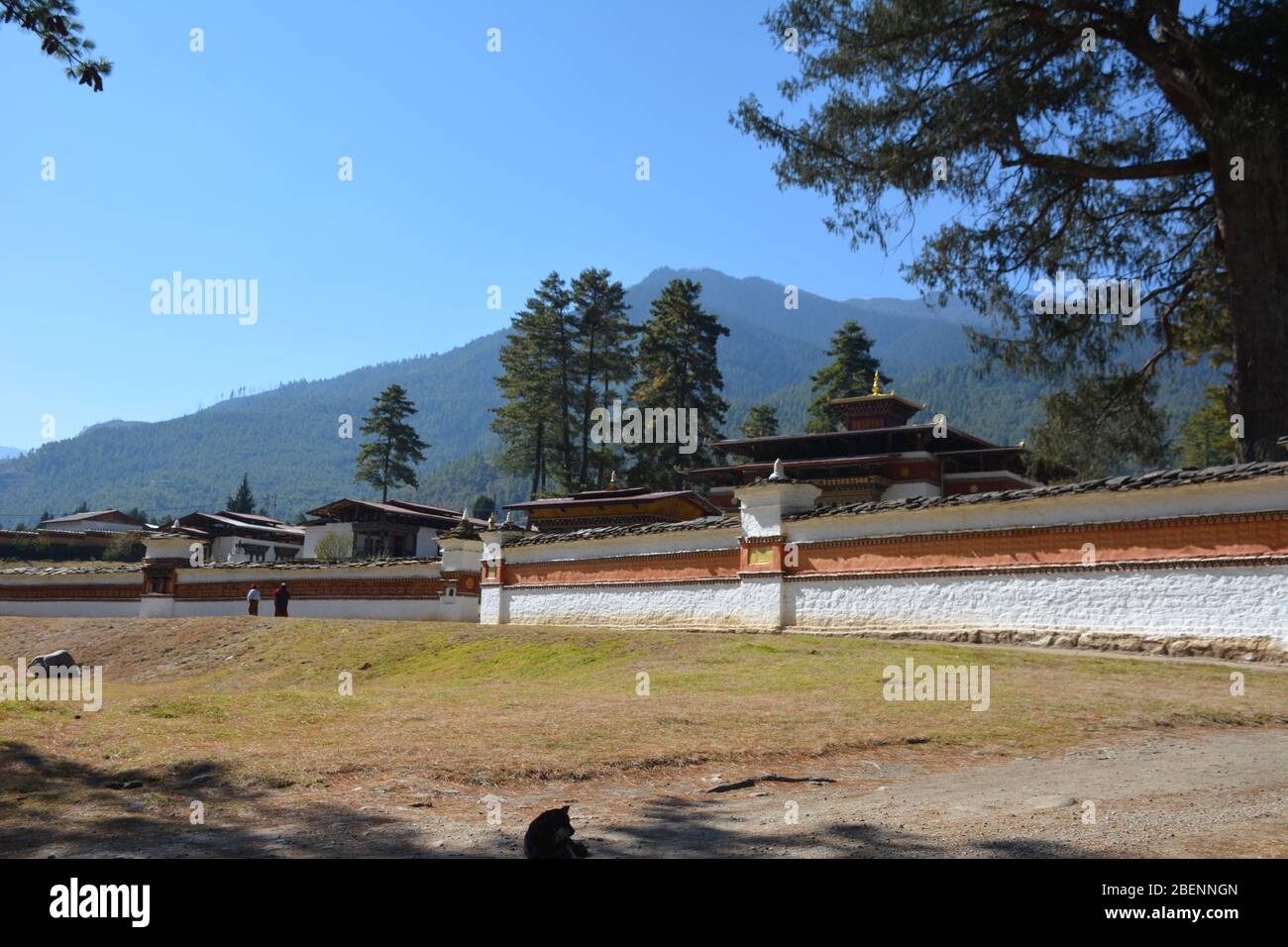 A Buddhist temple near Thimphu, Bhutan Stock Photo - Alamy