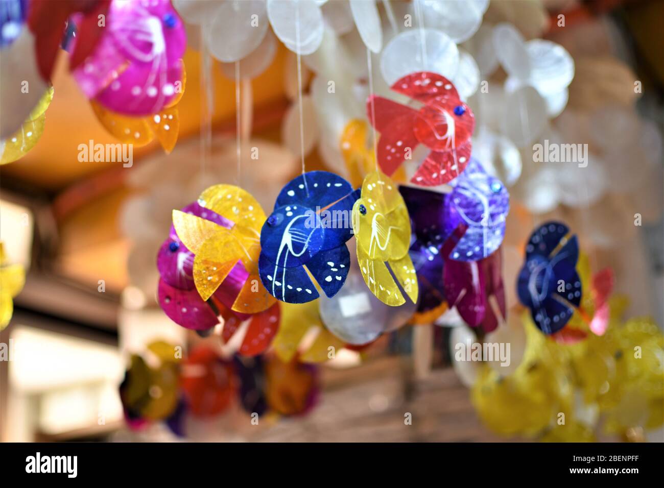 Capiz oyster shells hi-res stock photography and images - Alamy