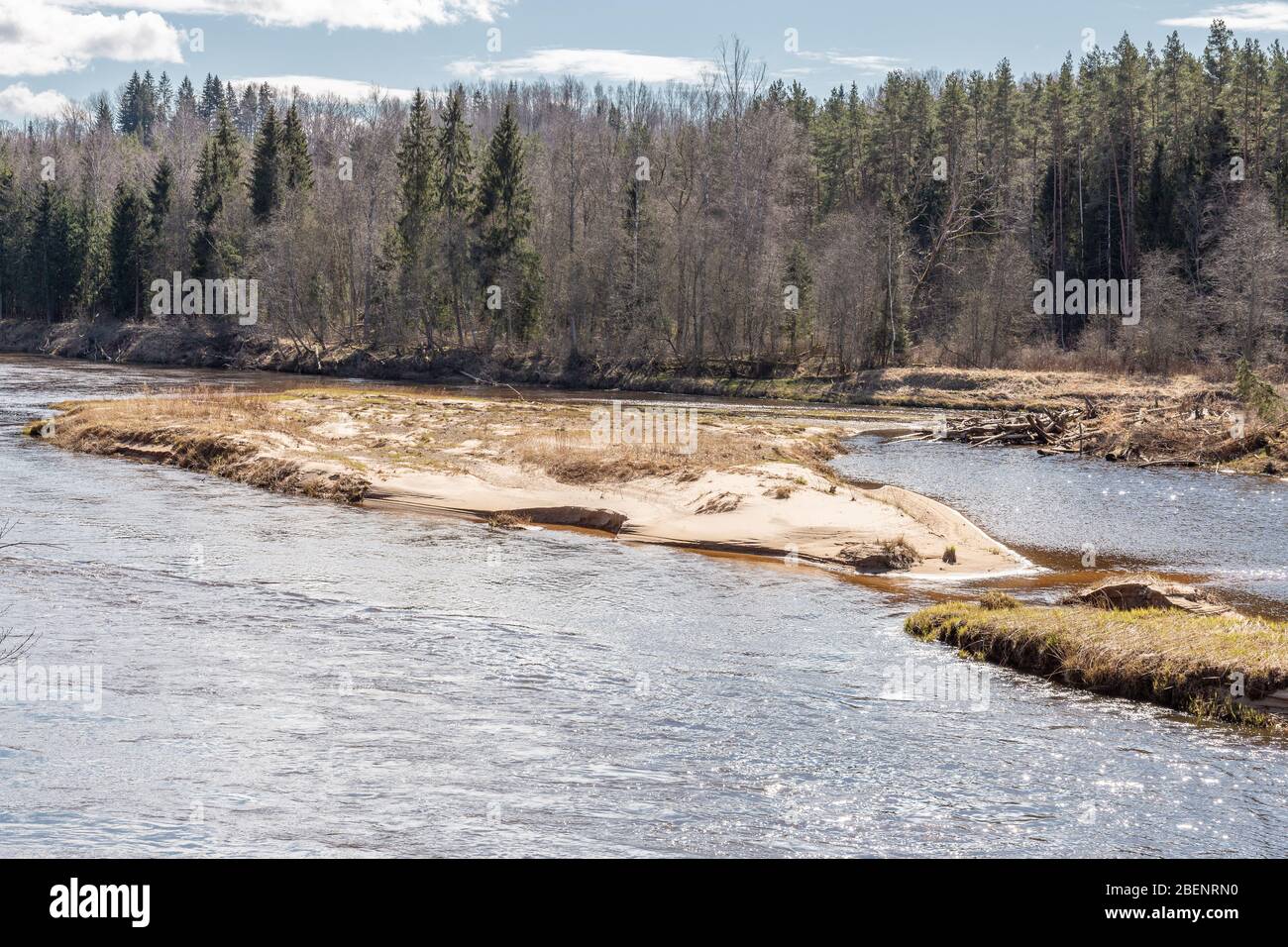 wild river landscape in back wild forest Stock Photo - Alamy