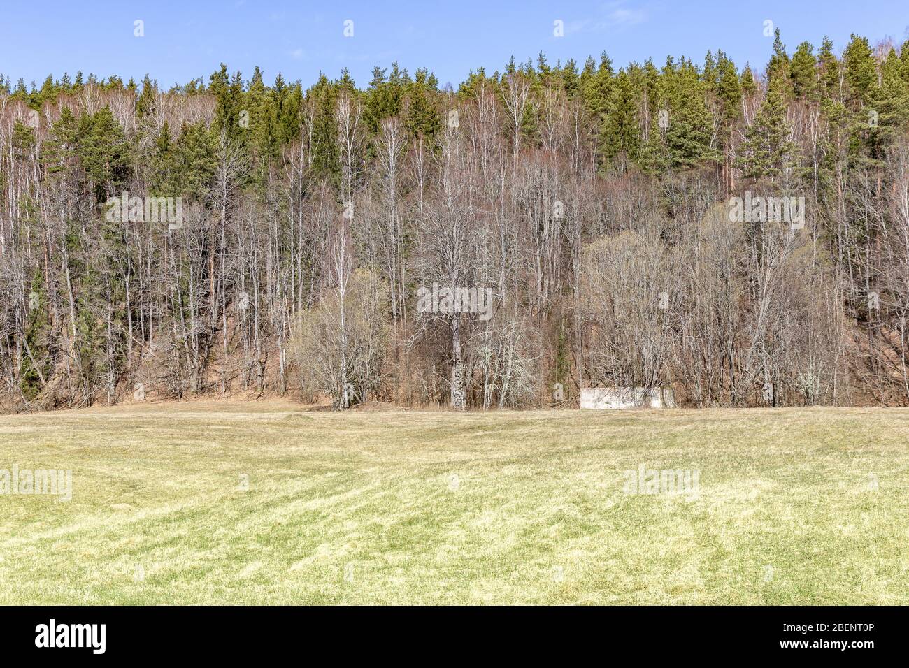 Green meadow, Microsoft windows open screen, forest, sky Stock Photo ...