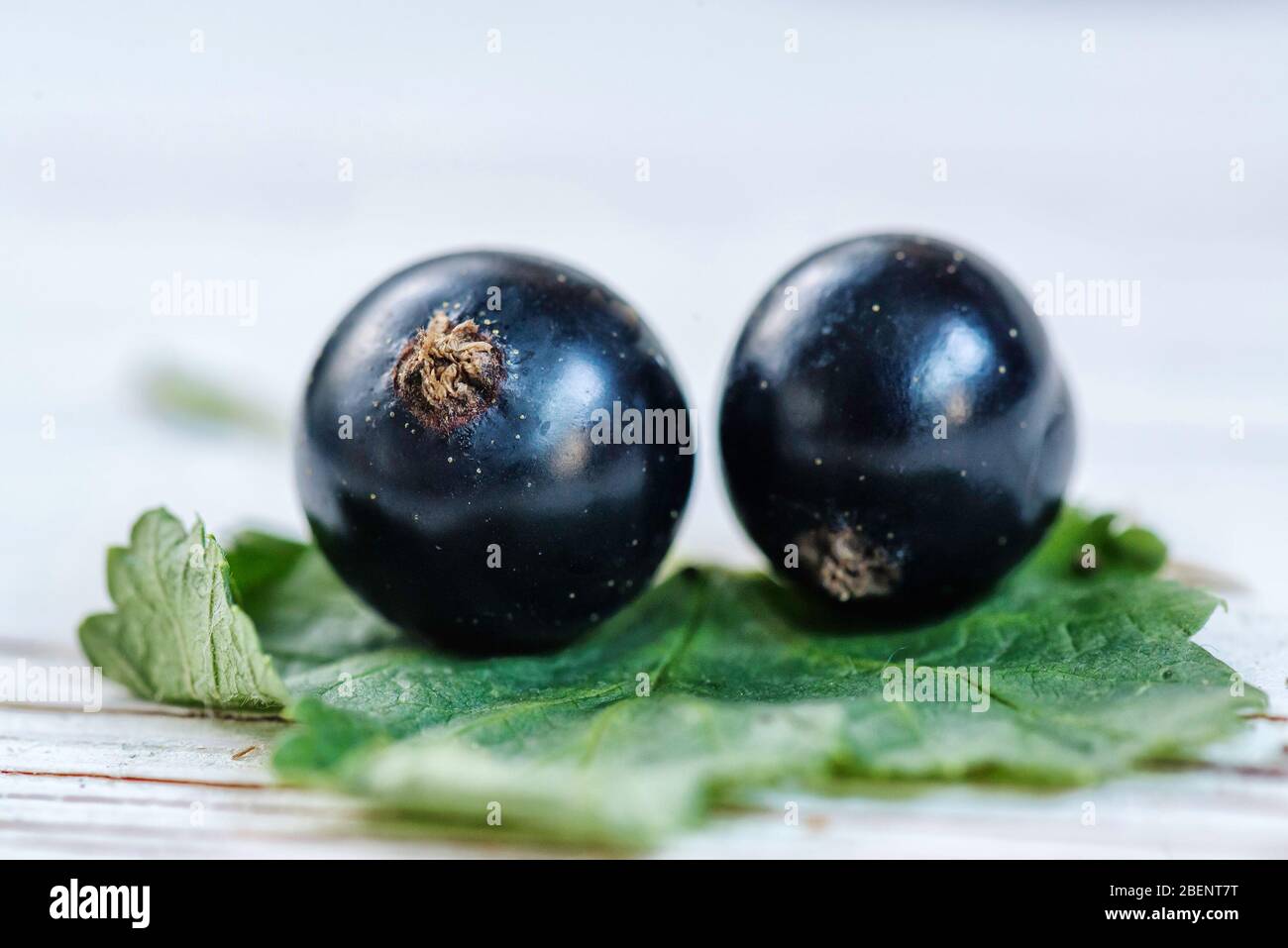 Organic black currant over the white background Stock Photo - Alamy