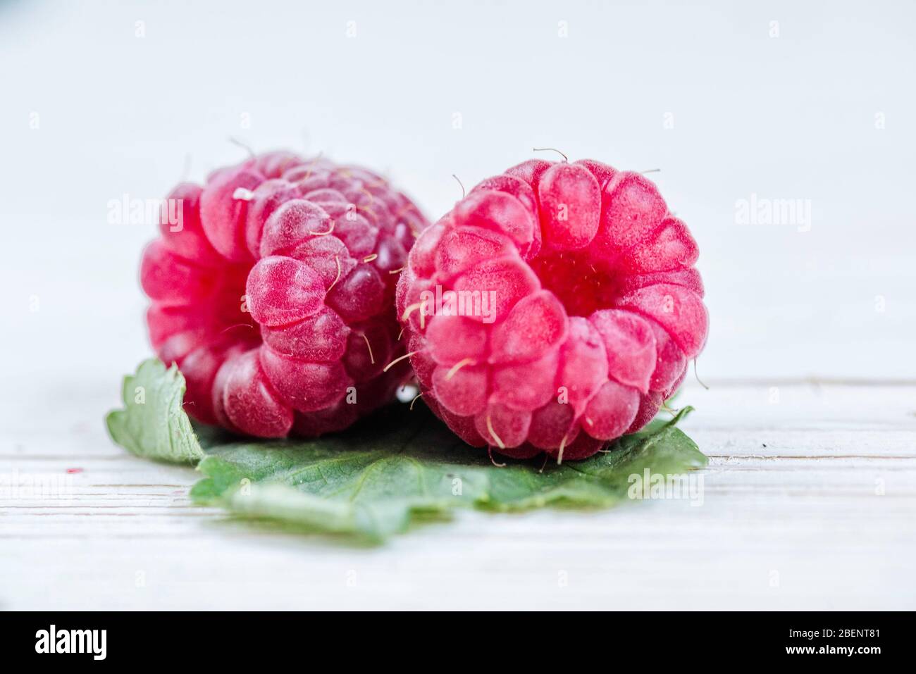 Raspberry with leaves over white background Stock Photo - Alamy