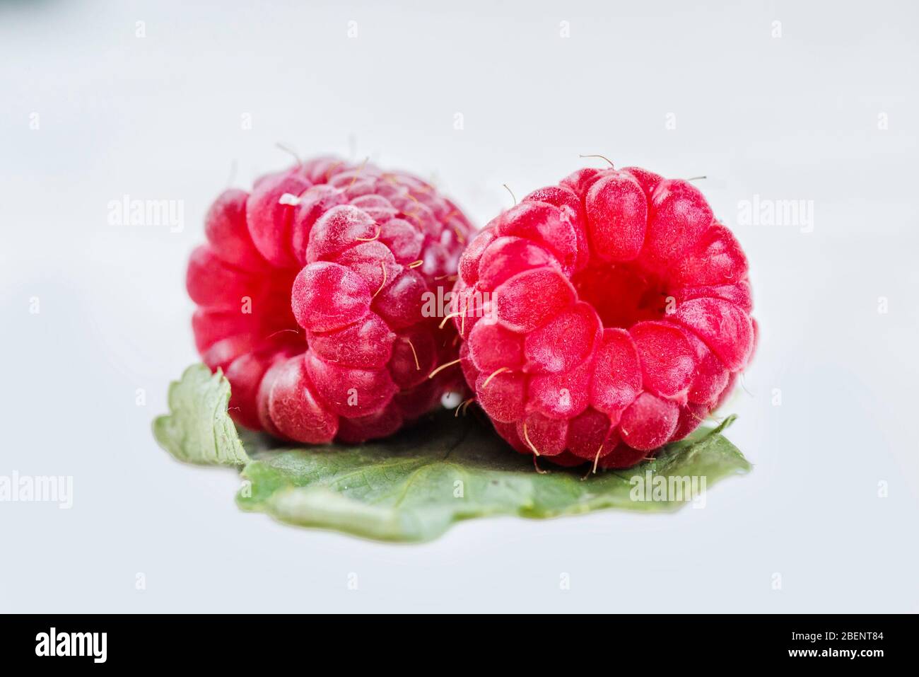 Raspberry with leaves over white background Stock Photo - Alamy