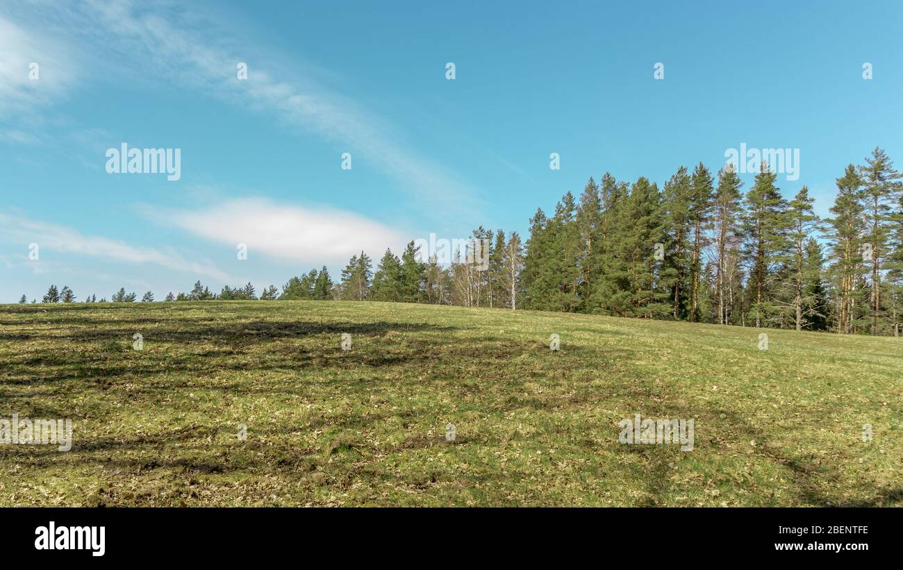 Green meadow, Microsoft windows open screen, forest, sky Stock Photo ...