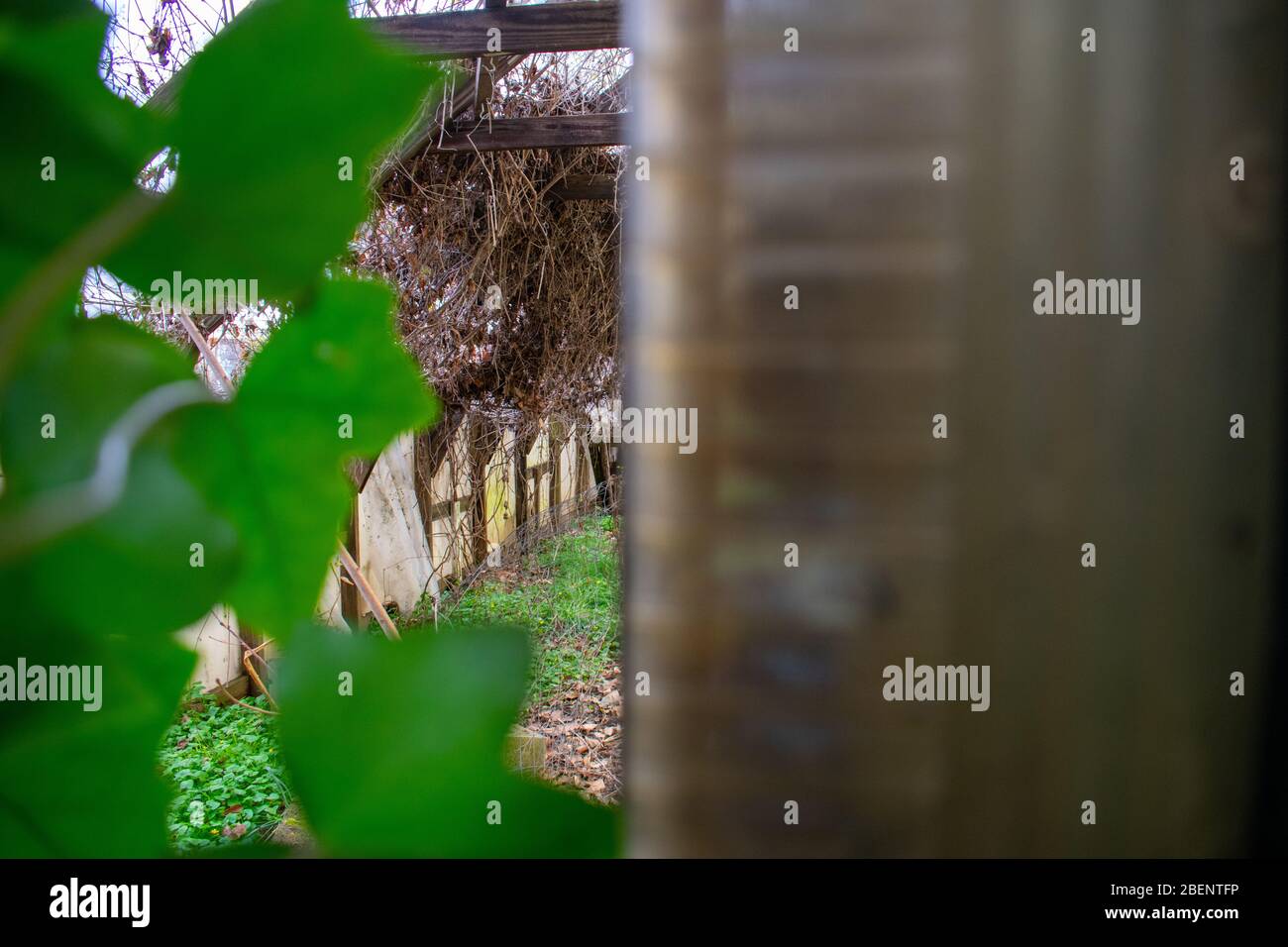 Slightly Open Door High Resolution Stock Photography and Images - Alamy