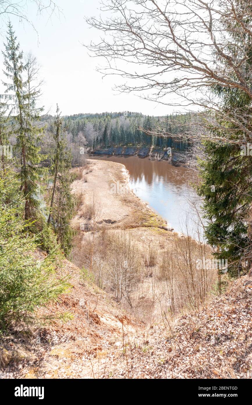 wild river landscape in back wild forest Stock Photo - Alamy