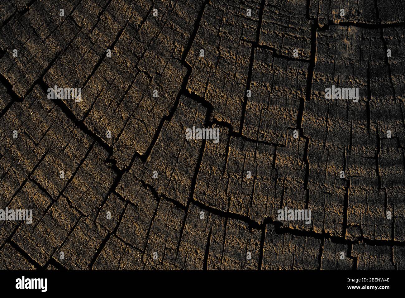 Wood log texture with natural patterns as a background Stock Photo - Alamy