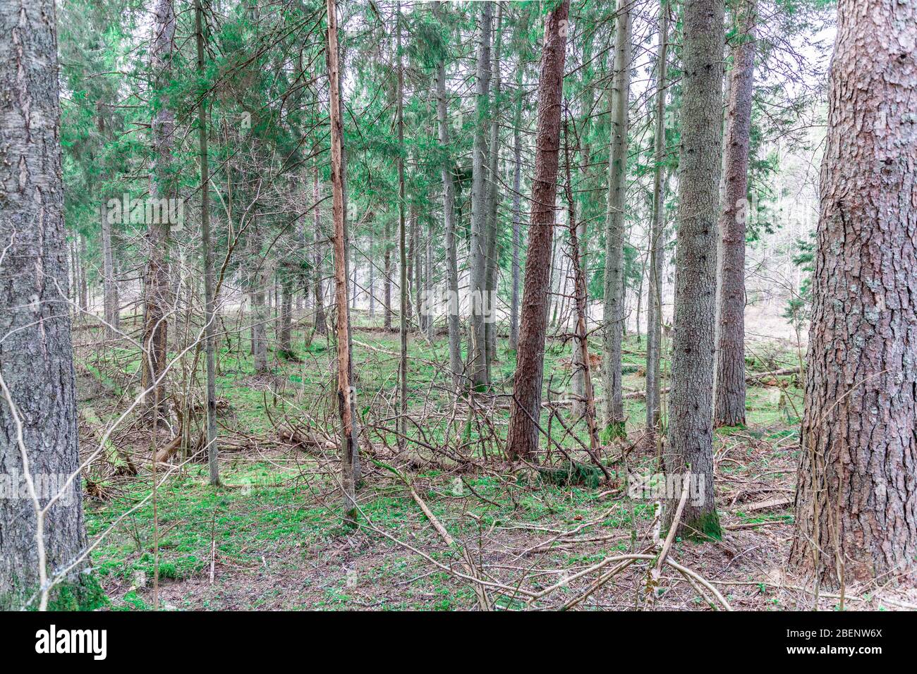 National park landscape Stock Photo - Alamy