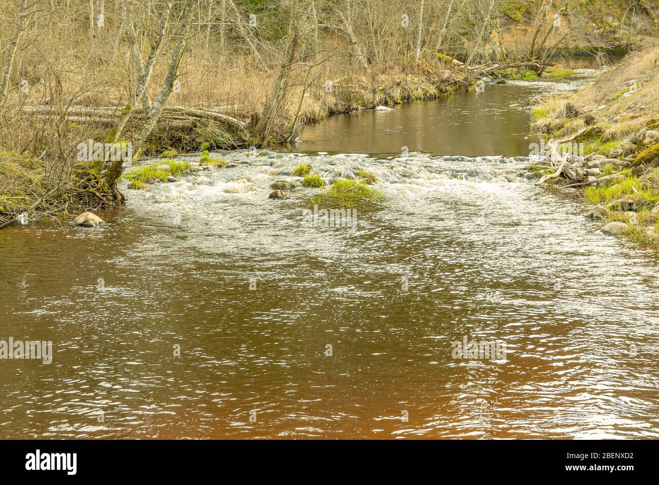 wild river landscape in back wild forest Stock Photo - Alamy