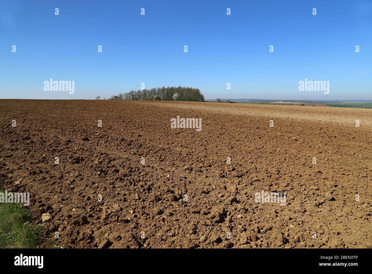 Spring landscape. Plowed and sown field in the spring Stock Photo - Alamy