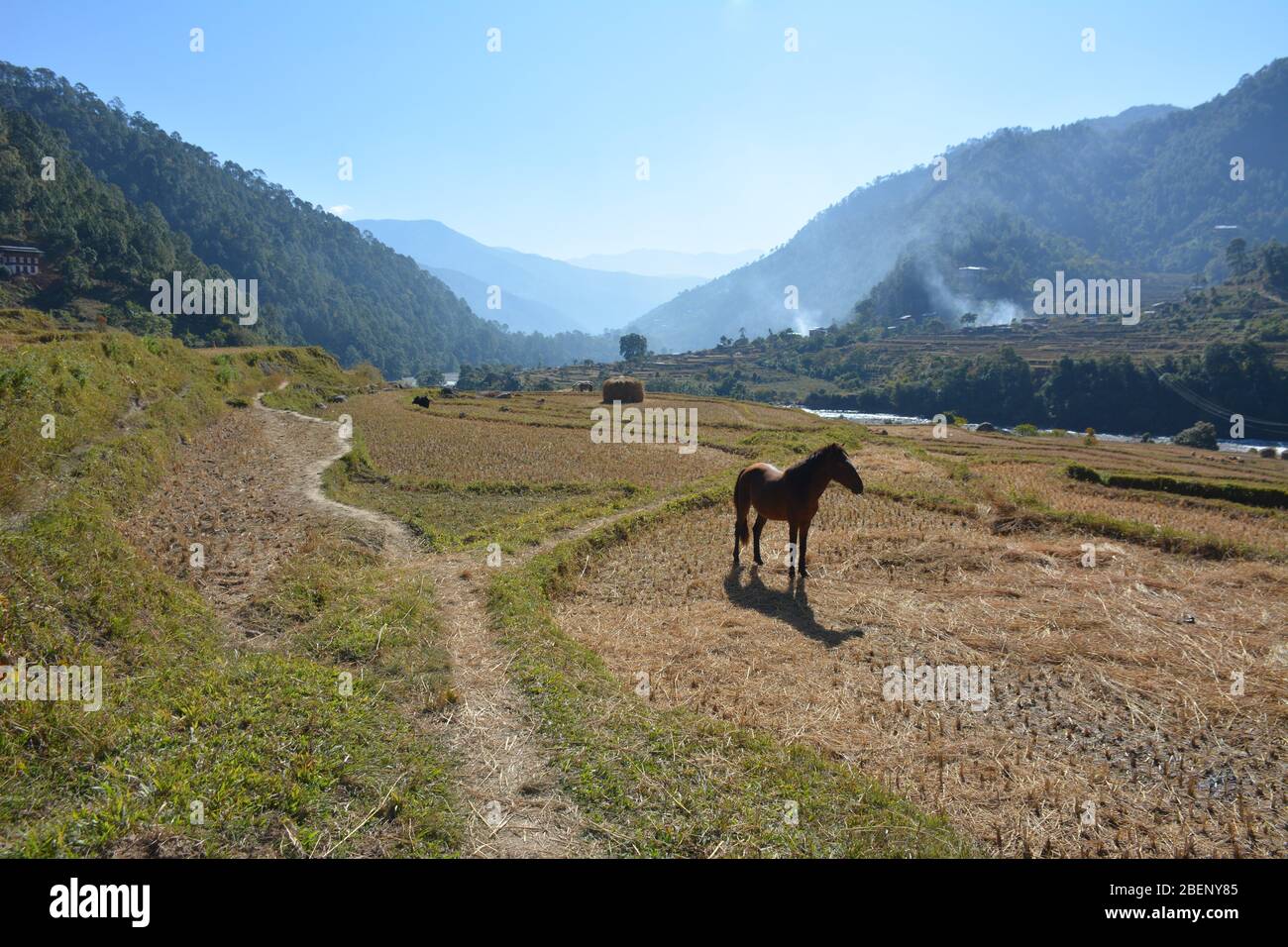 Traditional Farming Methods High Resolution Stock Photography and ...
