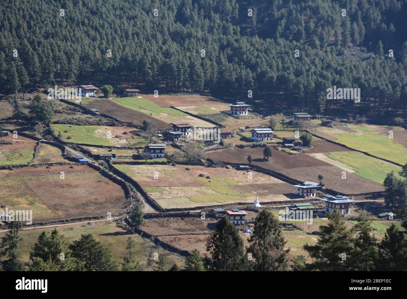 Traditional landscapes in the glacial Phobjikha Valley, a Unesco World ...