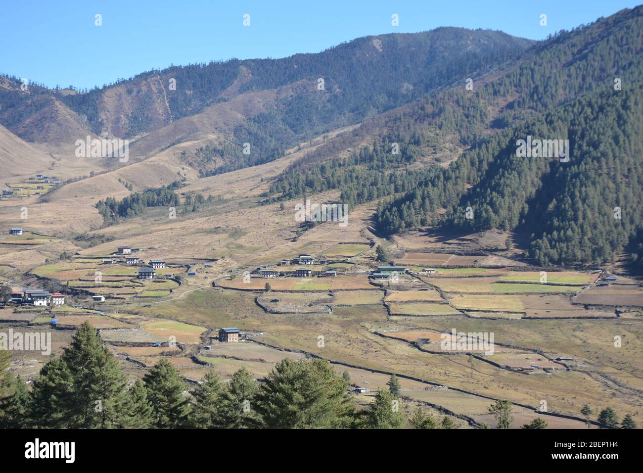 Traditional landscapes in the glacial Phobjikha Valley, a Unesco World ...