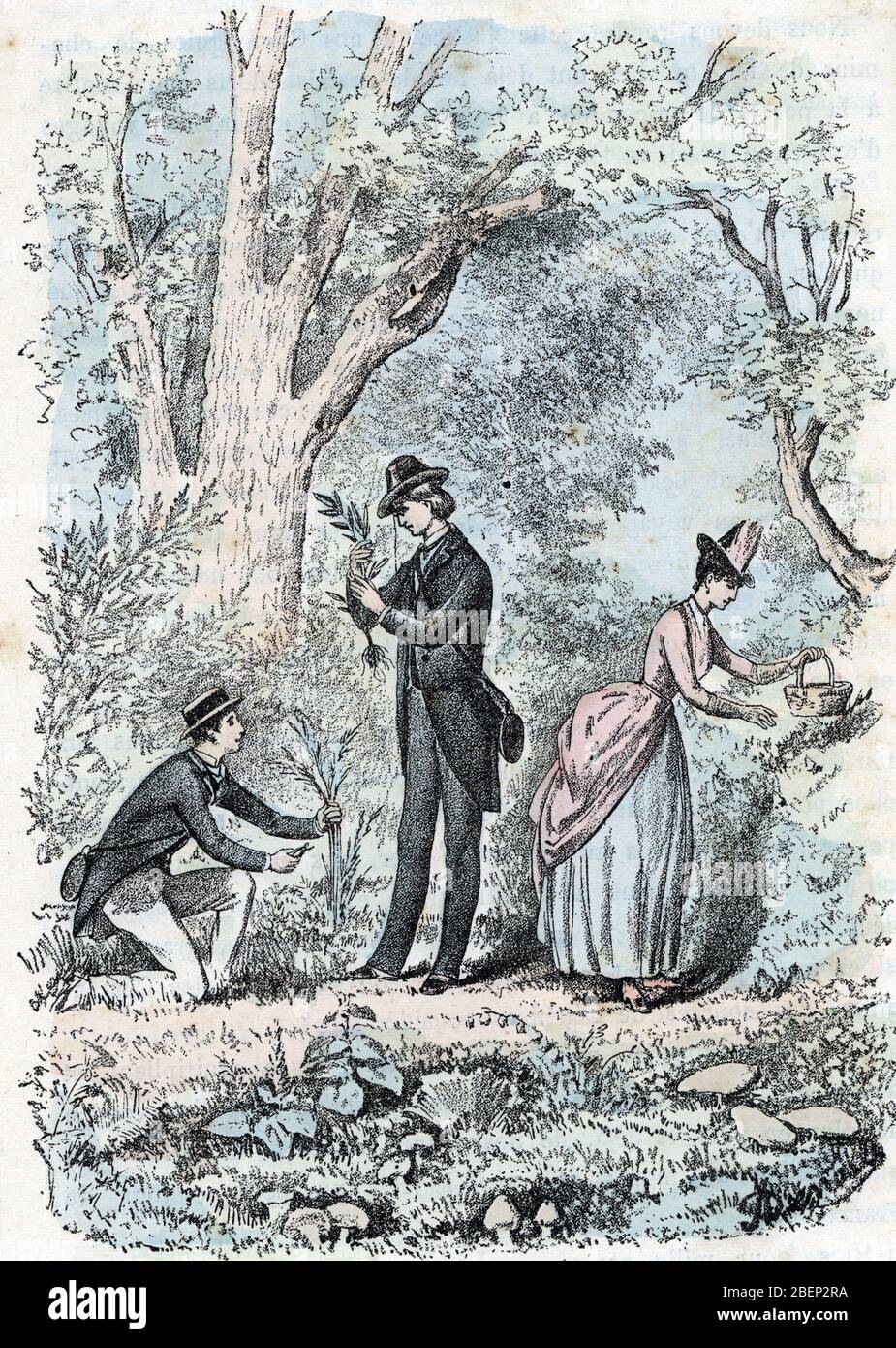 Constituer hi-res stock photography and images - Alamy