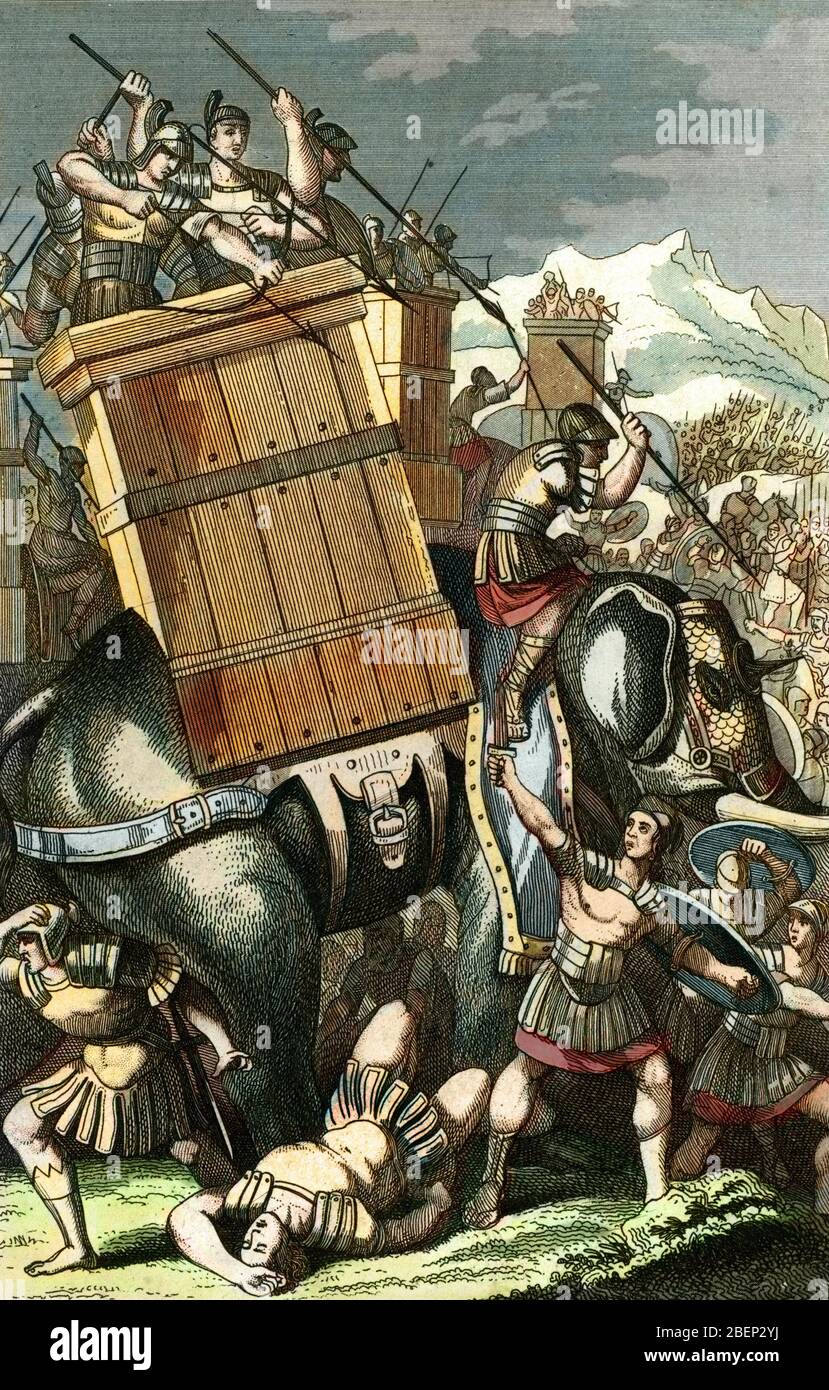 War elephants pyrrhus hi-res stock photography and images - Alamy