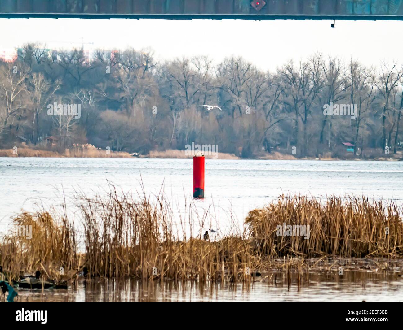Red buoy designating a channel for navigation on the river Stock Photo ...
