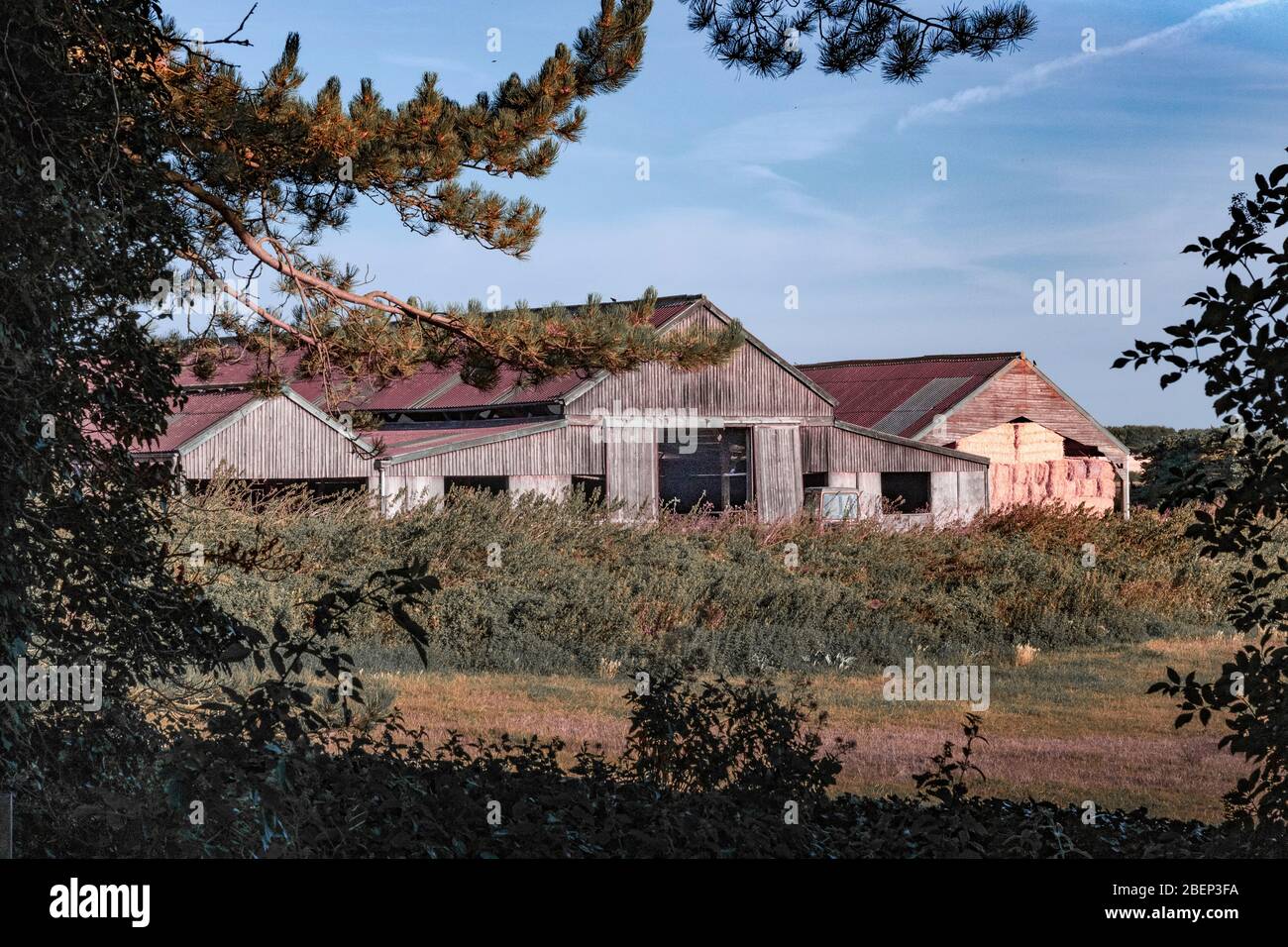 old farm buildings cow sheds Stock Photo - Alamy
