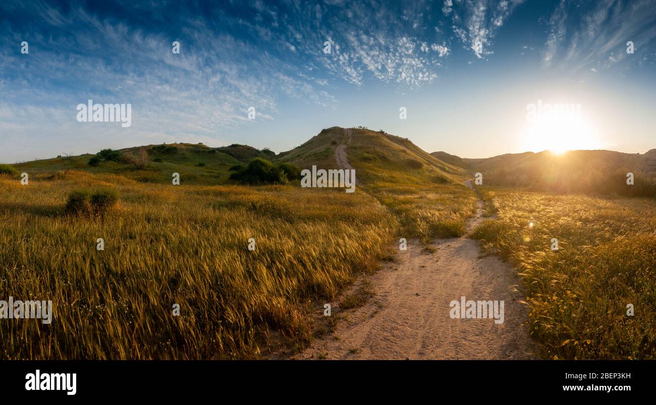 Impressive example of transformation desert into savanna in Southern ...