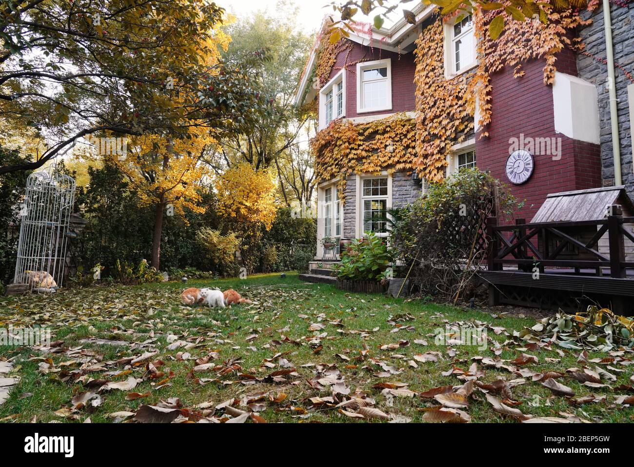 A private villa courtyard in autumn Stock Photo - Alamy