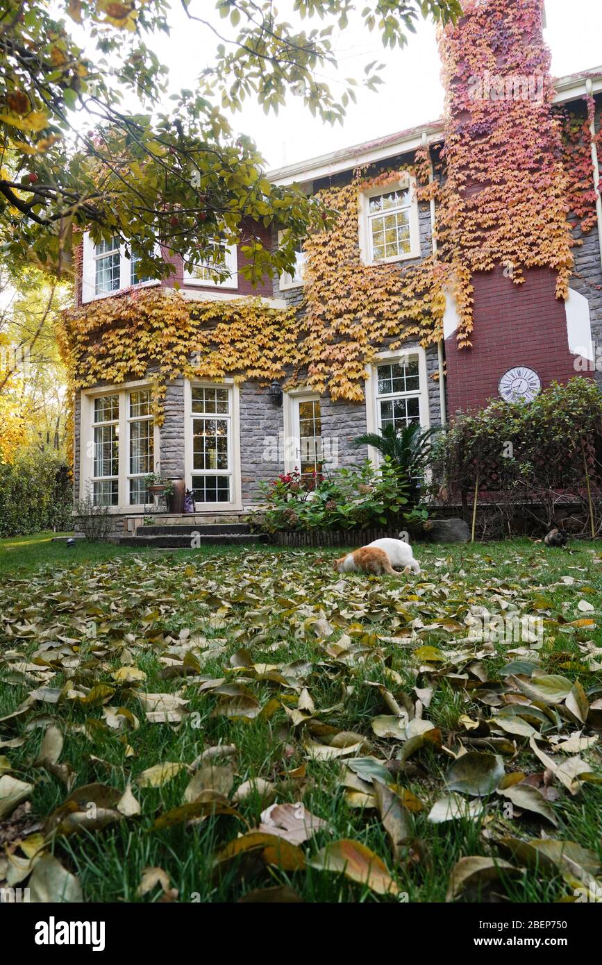 A private villa courtyard Stock Photo - Alamy