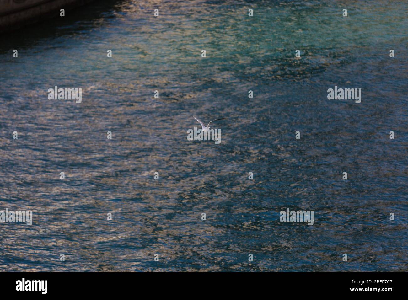 Vast blue ocean background with moderate waves looking straight down ...