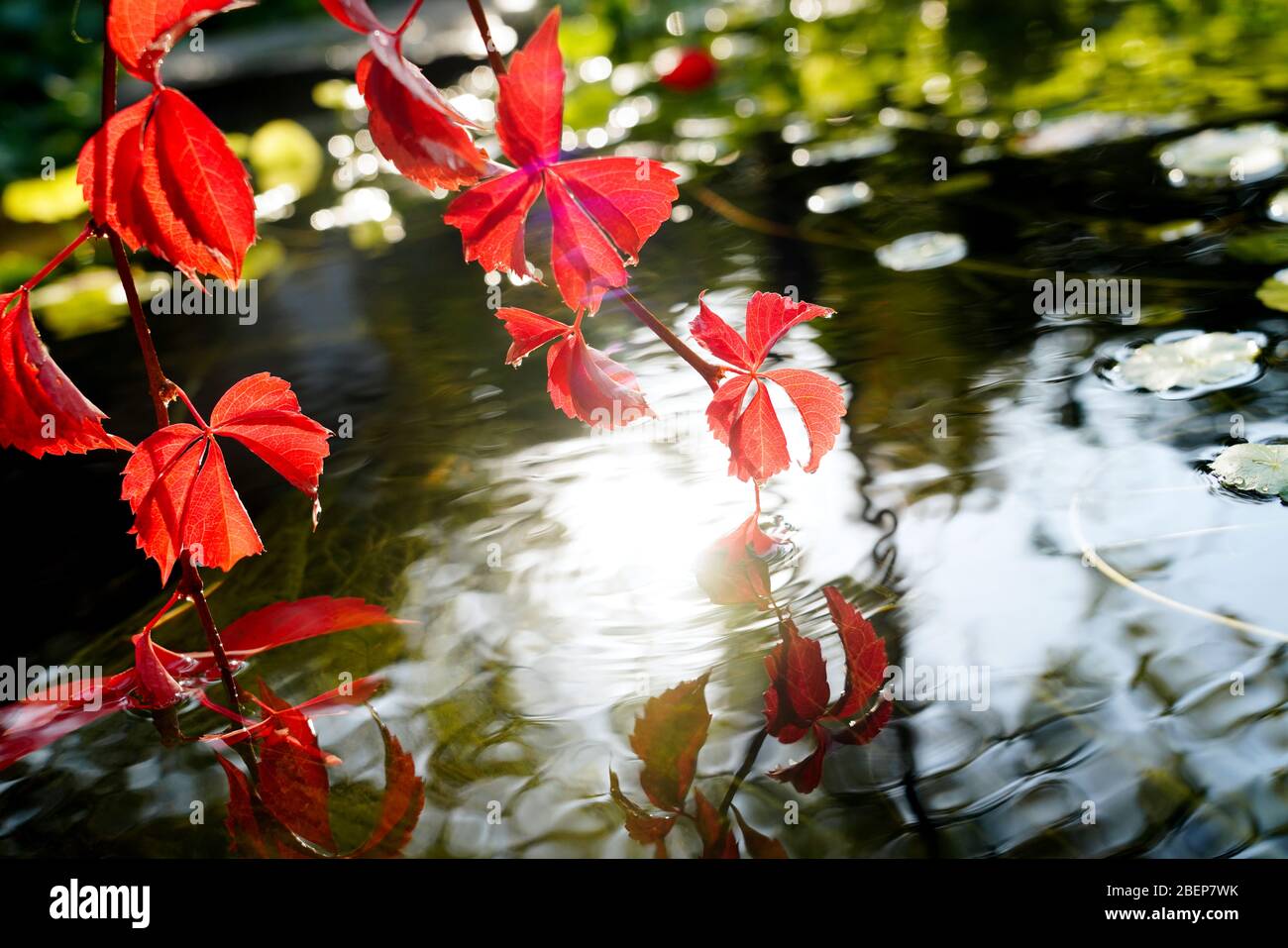 River flowing on back sunlight hi-res stock photography and images - Alamy