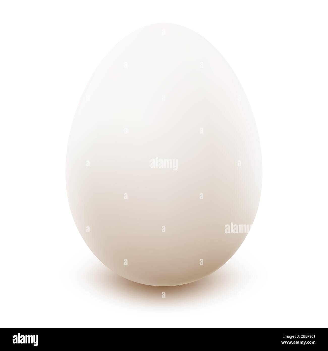 One white egg Stock Vector Images - Alamy