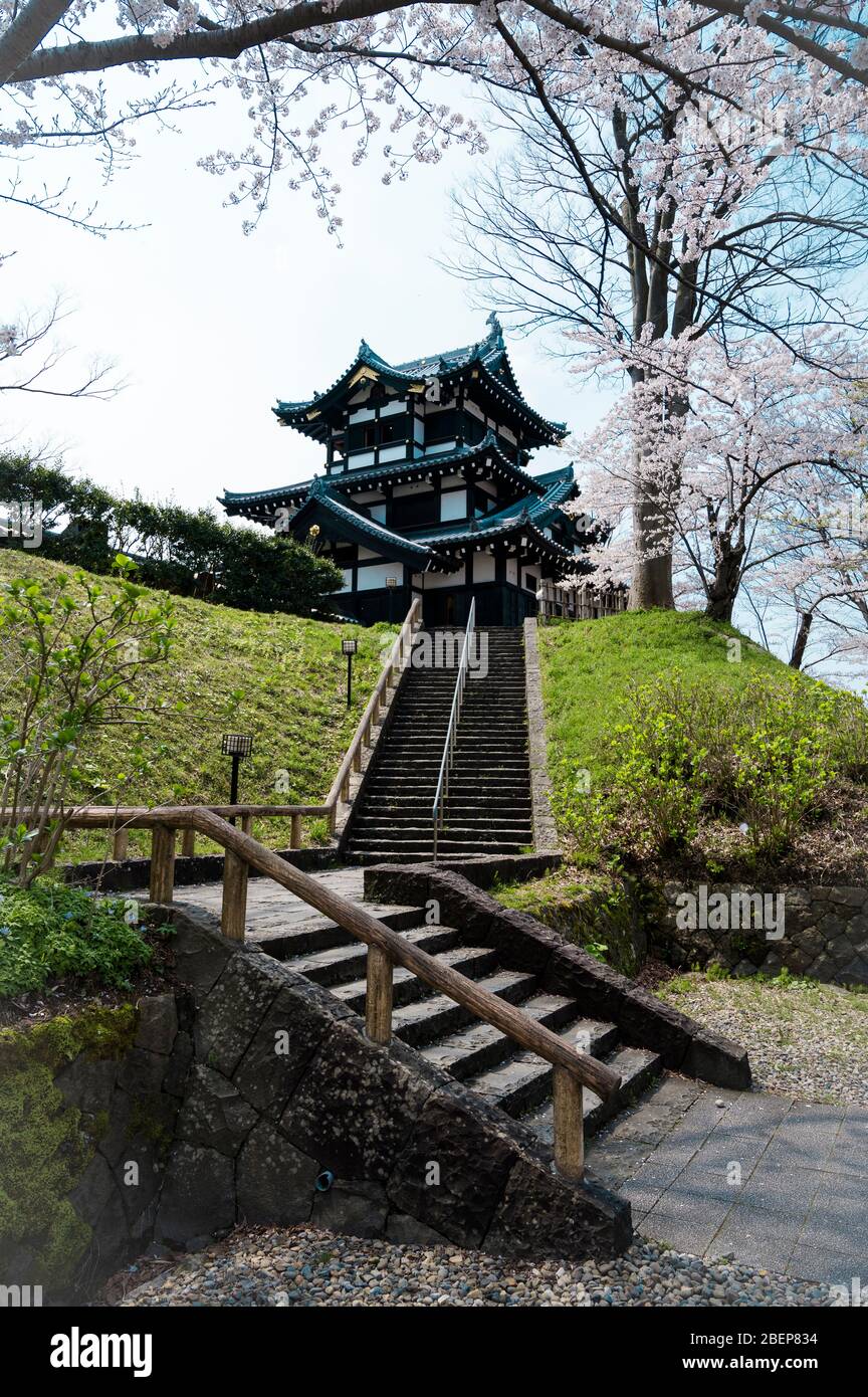 Traditional Japanese castle surrounded by white cherry blossoms Stock ...