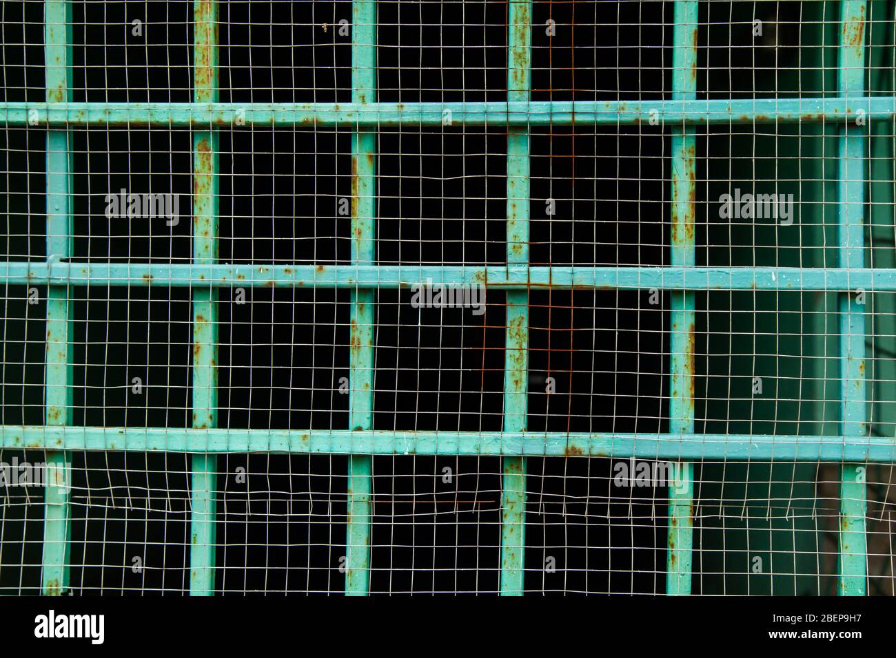The metal grid is green, square cells are made of metal rods. Prison ...